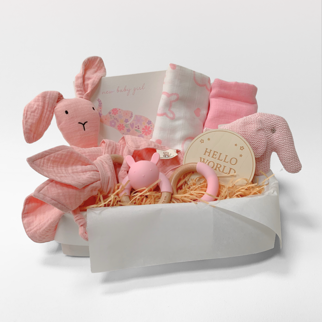 Baby Gift Bundle (Pink) – Little Giggles Co.